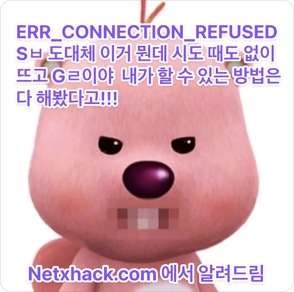 ERR_CONNECTION_REFUSED 오류 해결방법 모음
